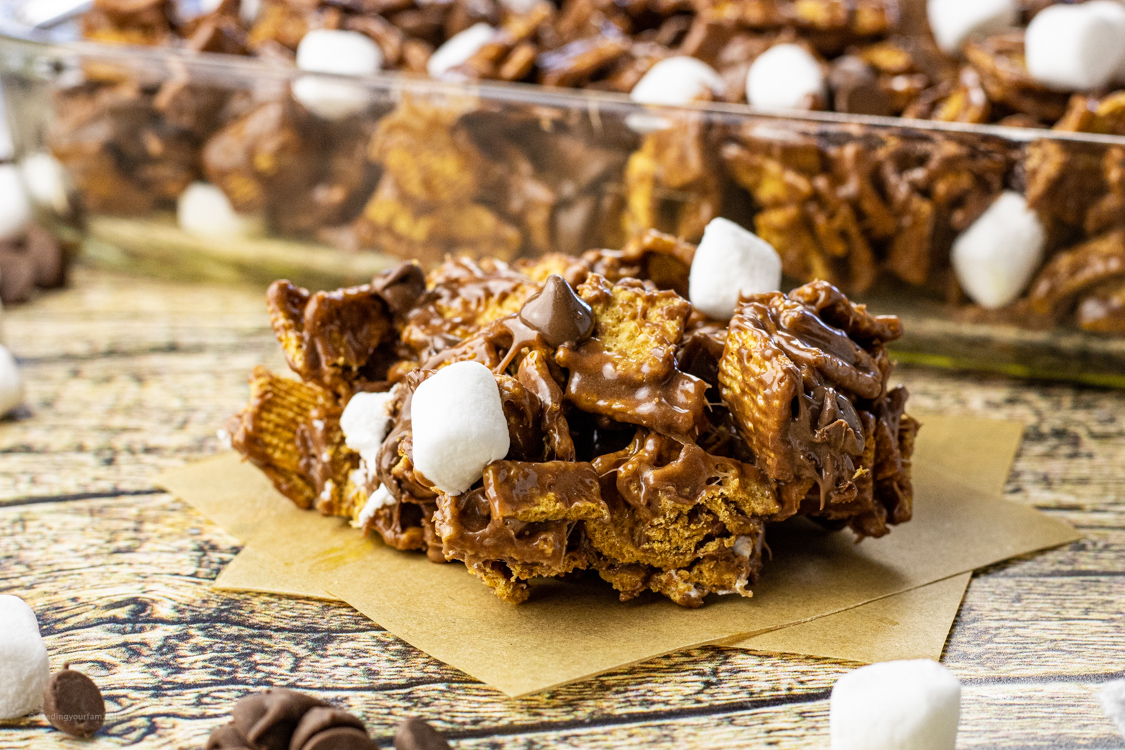 The Best Smores Bar So Easy To Make - Feeding Your Fam